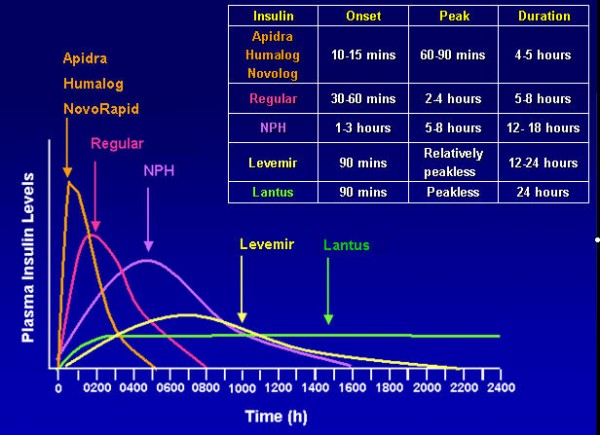 Diabetes mellitus type 1 | SMARTY PANCE