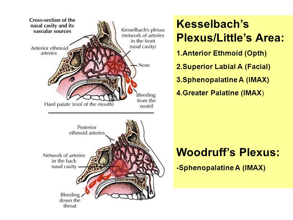 Epistaxis | PANCE | PANRE EENT Content Blueprint - Smarty PANCE