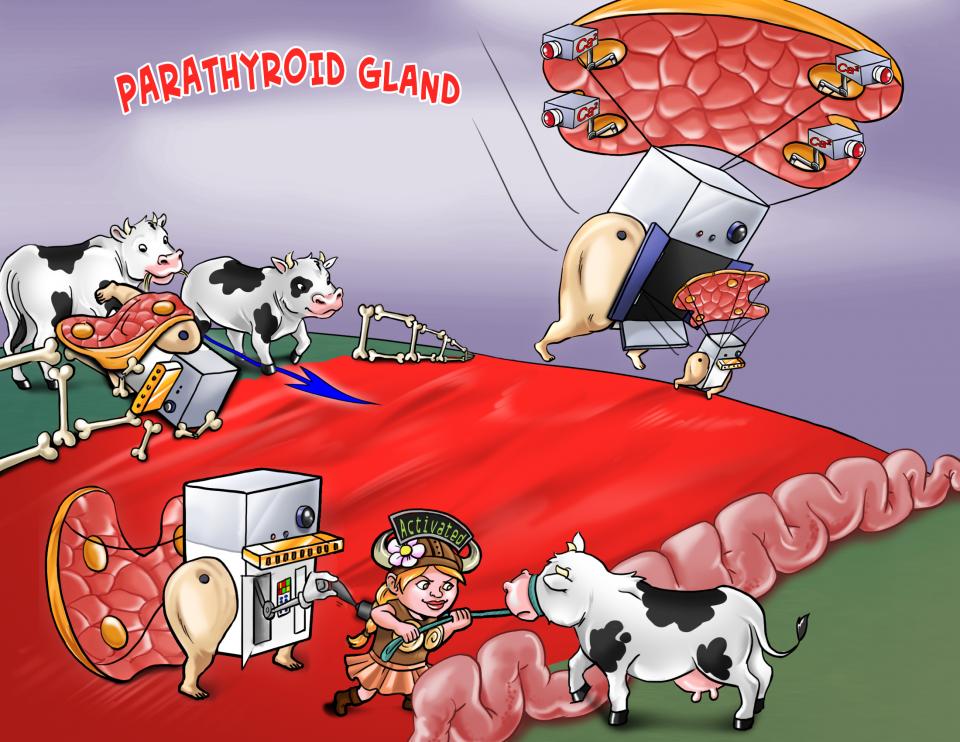 Hyperparathyroidism - SMARTY PANCE