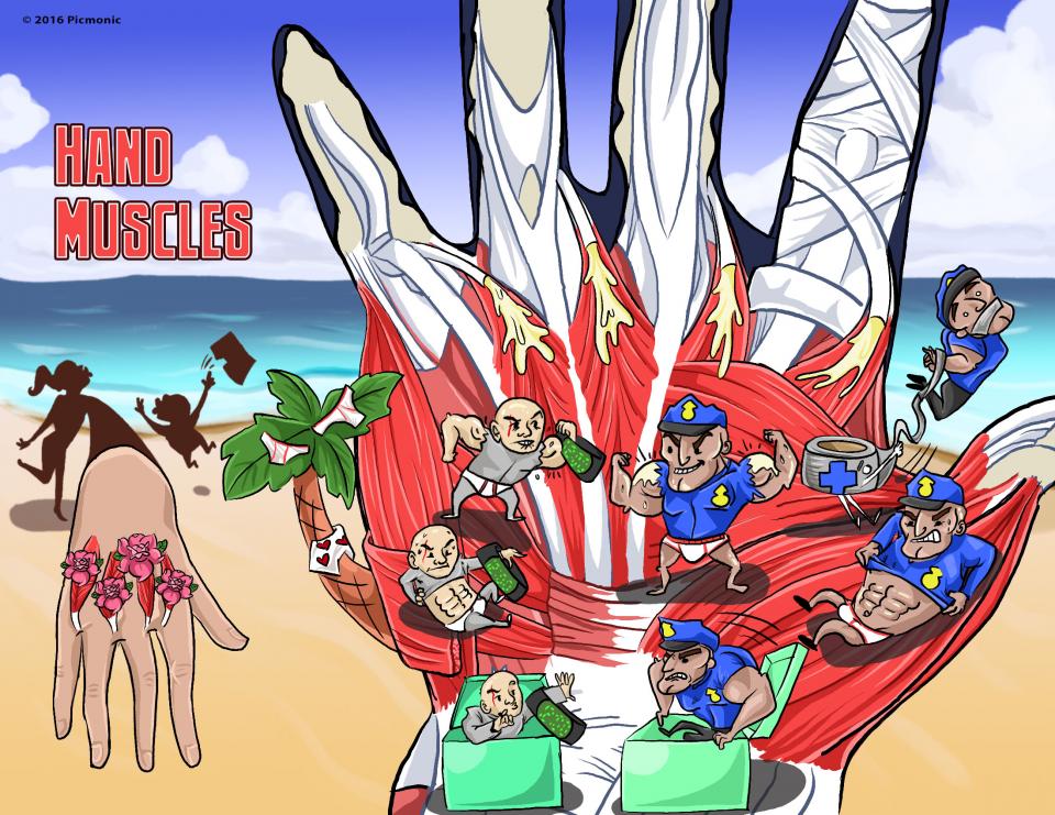 Upper extremity disorders (PEARLS) - Smarty PANCE