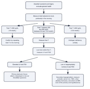 Hypogonadism (Lecture) | Endocrine System Content Blueprint - Smarty PANCE