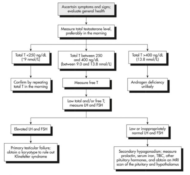 Hypogonadism (Lecture) | Endocrine System Content Blueprint - Smarty PANCE