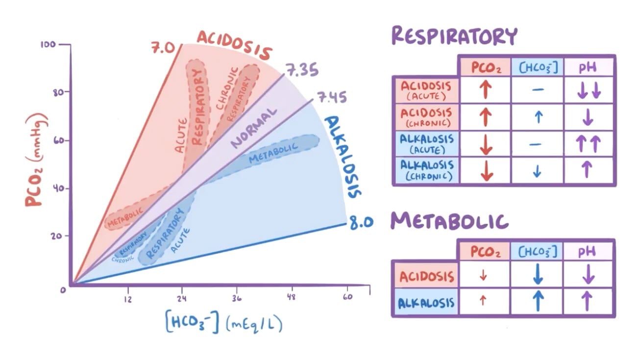 General Surgery: Acid/base disorders | SMARTY PANCE