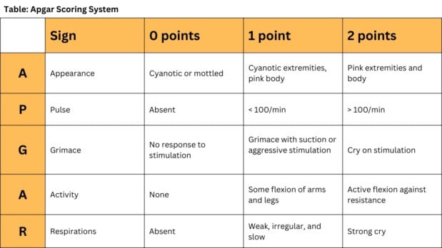 Women's Health Rotation: Prenatal Care and Normal Pregnancy (PEARLS ...