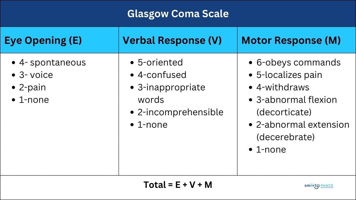Internal Medicine Rotation: Neurology (PEARLS) - Smarty PANCE