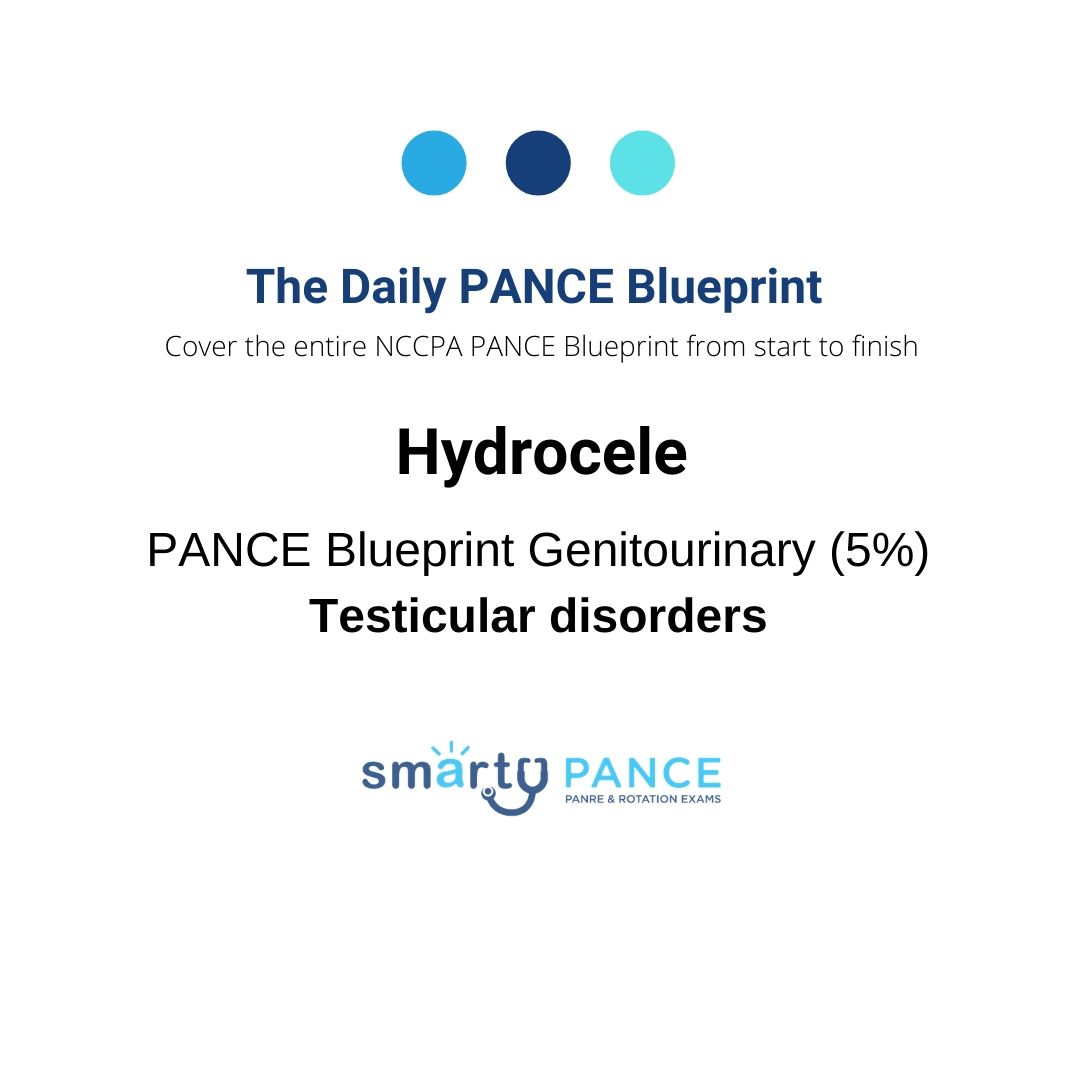 Hydrocele: The Daily PANCE Blueprint - Smarty PANCE