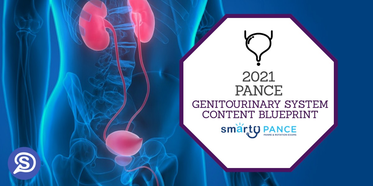 Smarty PANCE - Genitourinary System Content Blueprint and Study Guide